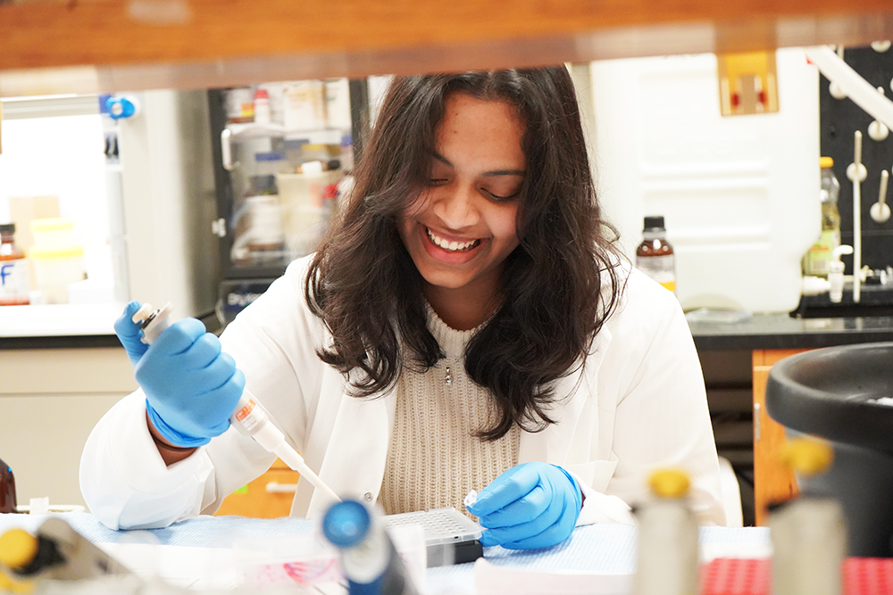 Born to do Research - Honors College