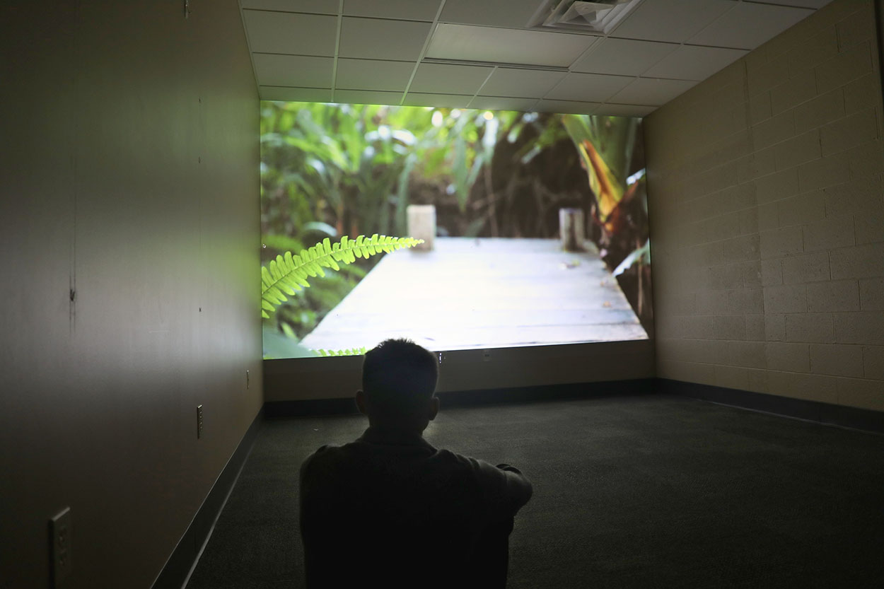 Exploring Death Through the Lens of Artistic Production - Honors College